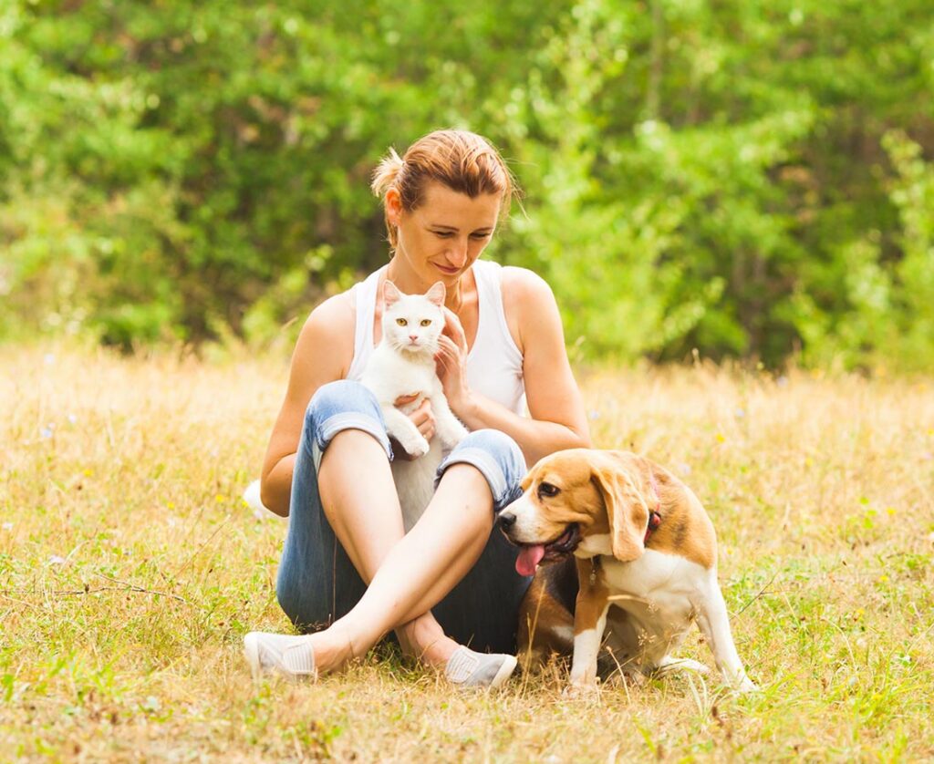 Payment Information | United Vision Pet Partners