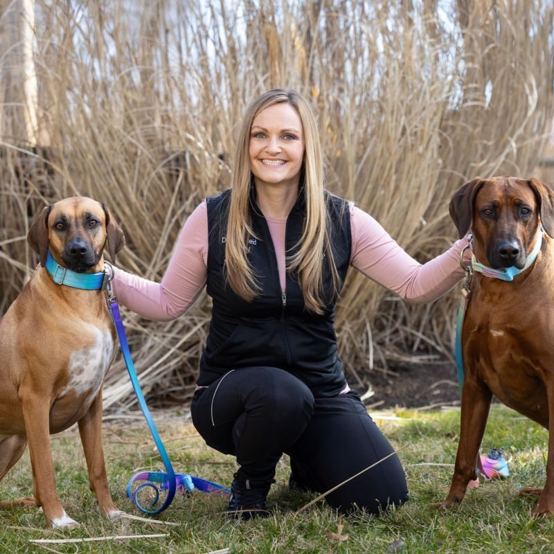 Our Specialty Veterinary Team in Newtown Square, PA | United Vision Pet ...